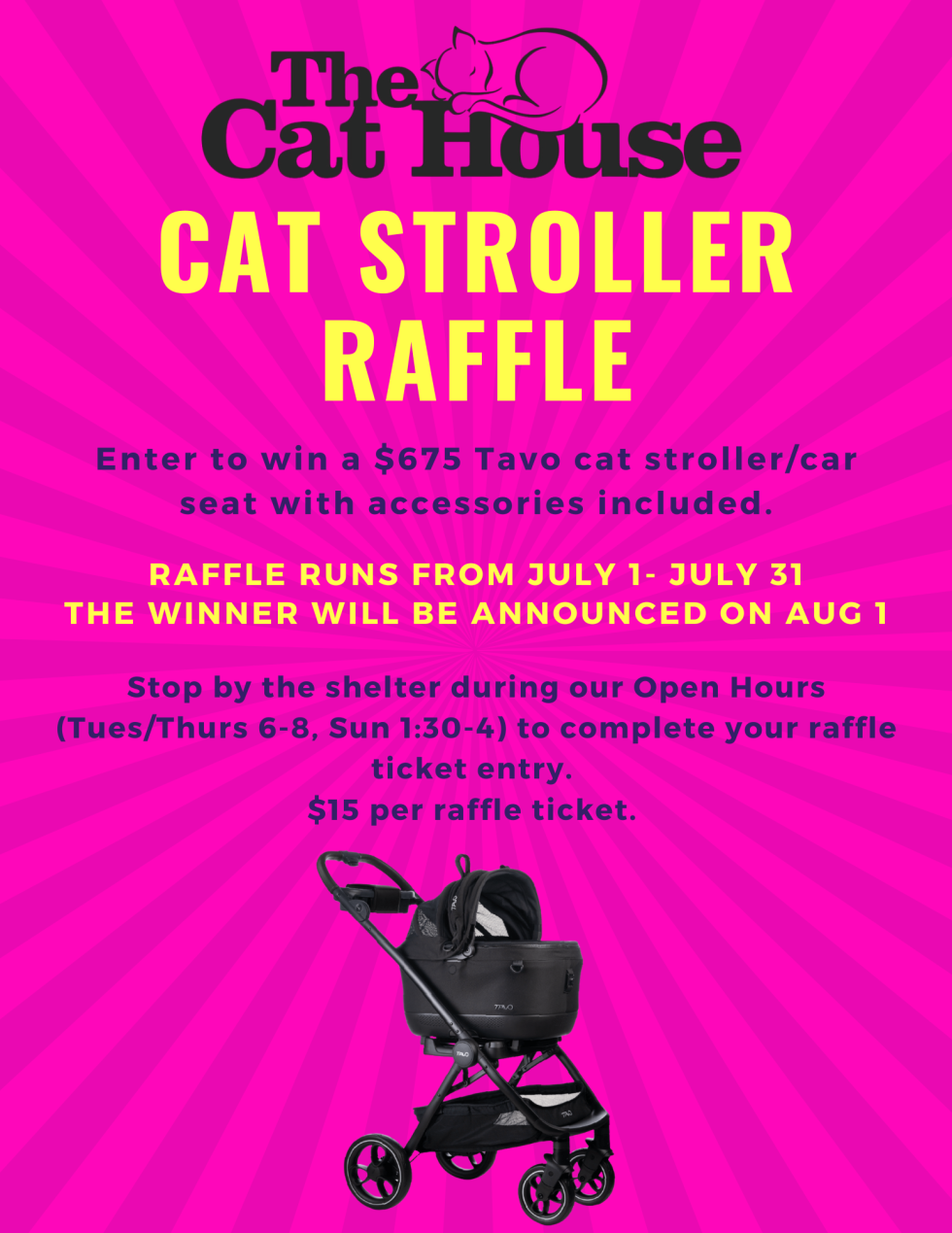 Cat Stroller/Car Seat Raffle | The Cat House